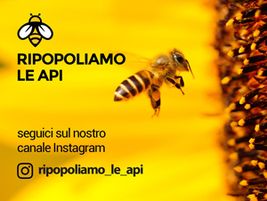 Ripopolare le api per ristabilizzare l’equilibrio della natura – Vivere ...