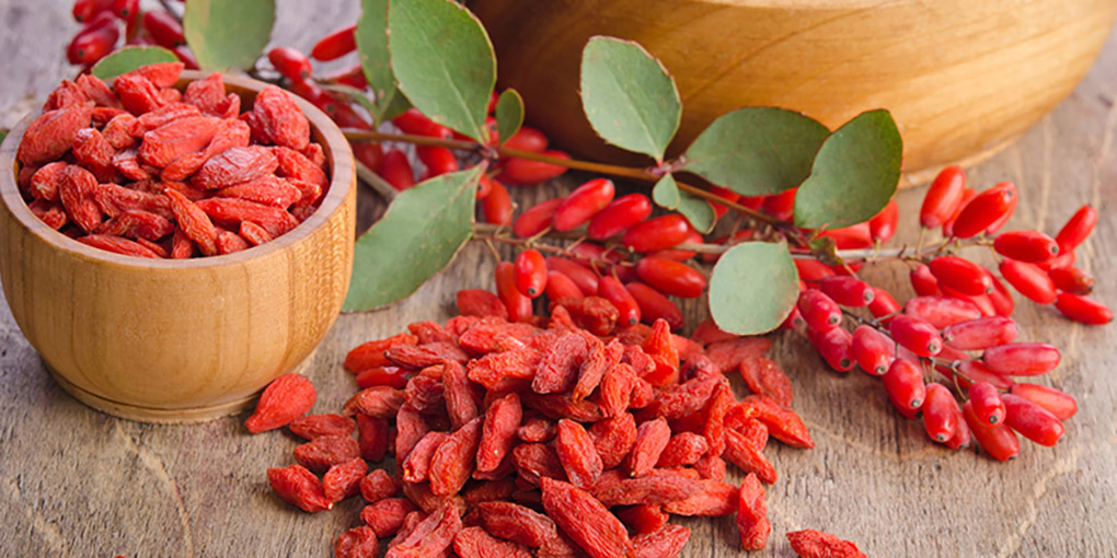 Bacche di Goji, un superfood dall’antico Oriente – Vivere Sostenibile Lazio